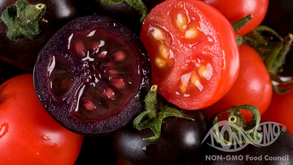 Los alimentos transgénicos más comunes