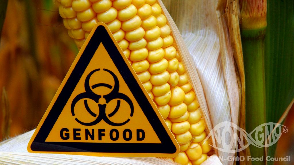 Examples of High-Risk Input and Content